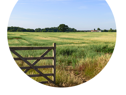 Node Finance – Node provide mortgages, bridging and development finance and insurance.